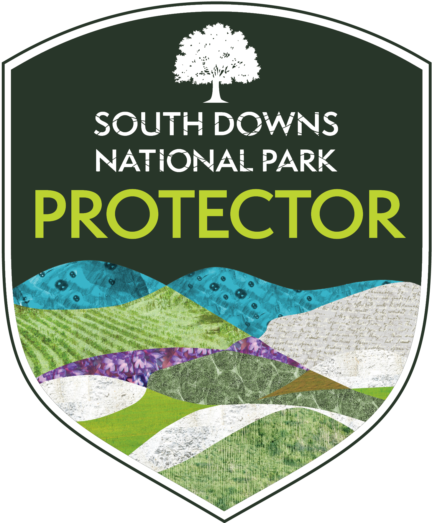 South Downs Trust