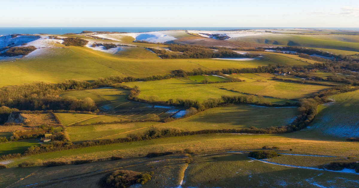 South Downs Trust